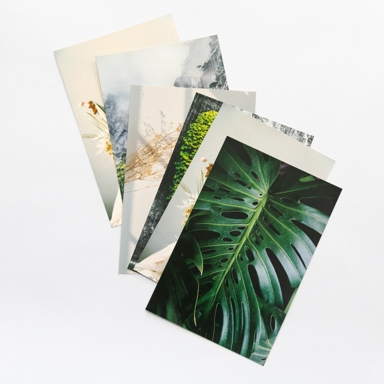 Pack Classic Prints – Fotolab